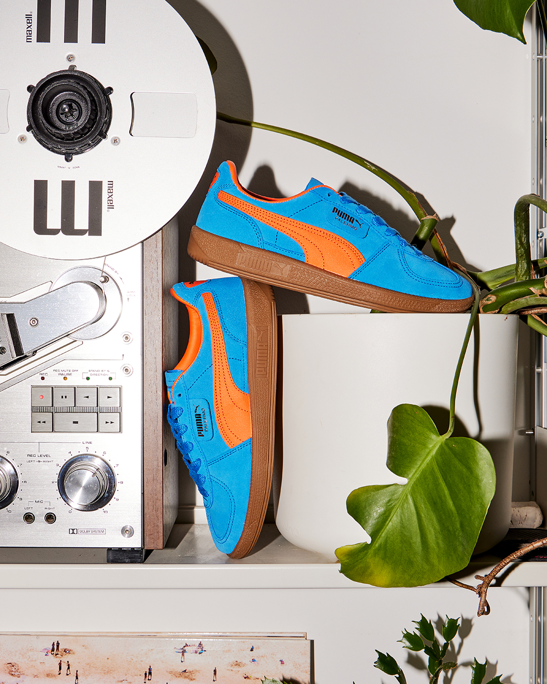 Vintage Revival: Retro Shoe Styles Are Back | schuh